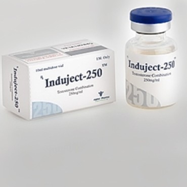 Buy Induject-250, Alpha-Pharma - Sustanon injections online